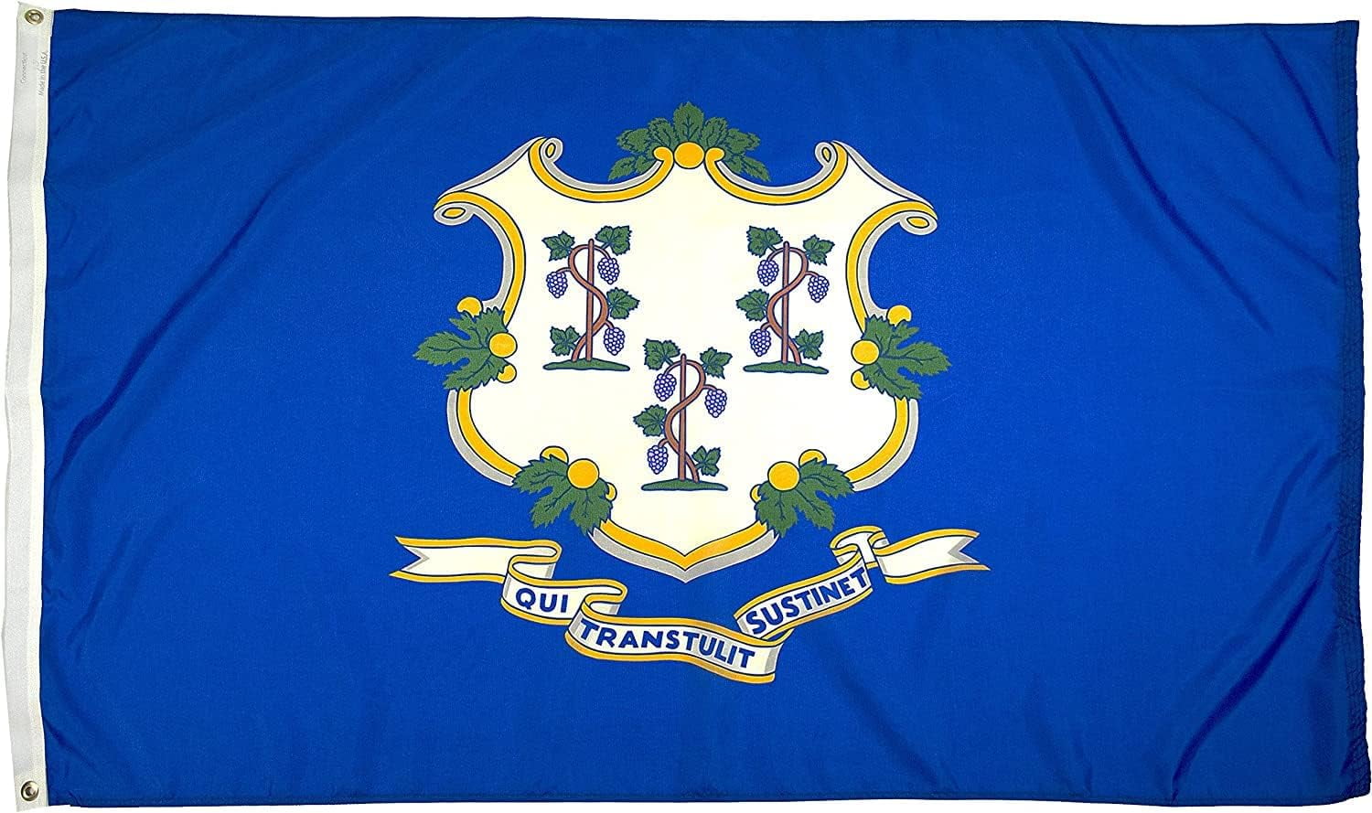 USA Made Connecticut Nylon State Flag, 4x6' - Walmart.com