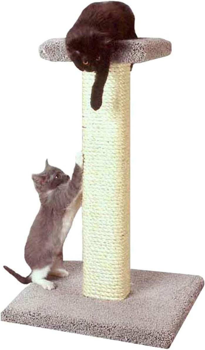 USA Made Incline Cat Scratching Post, Solid Wood Pole, Scratcher with ...