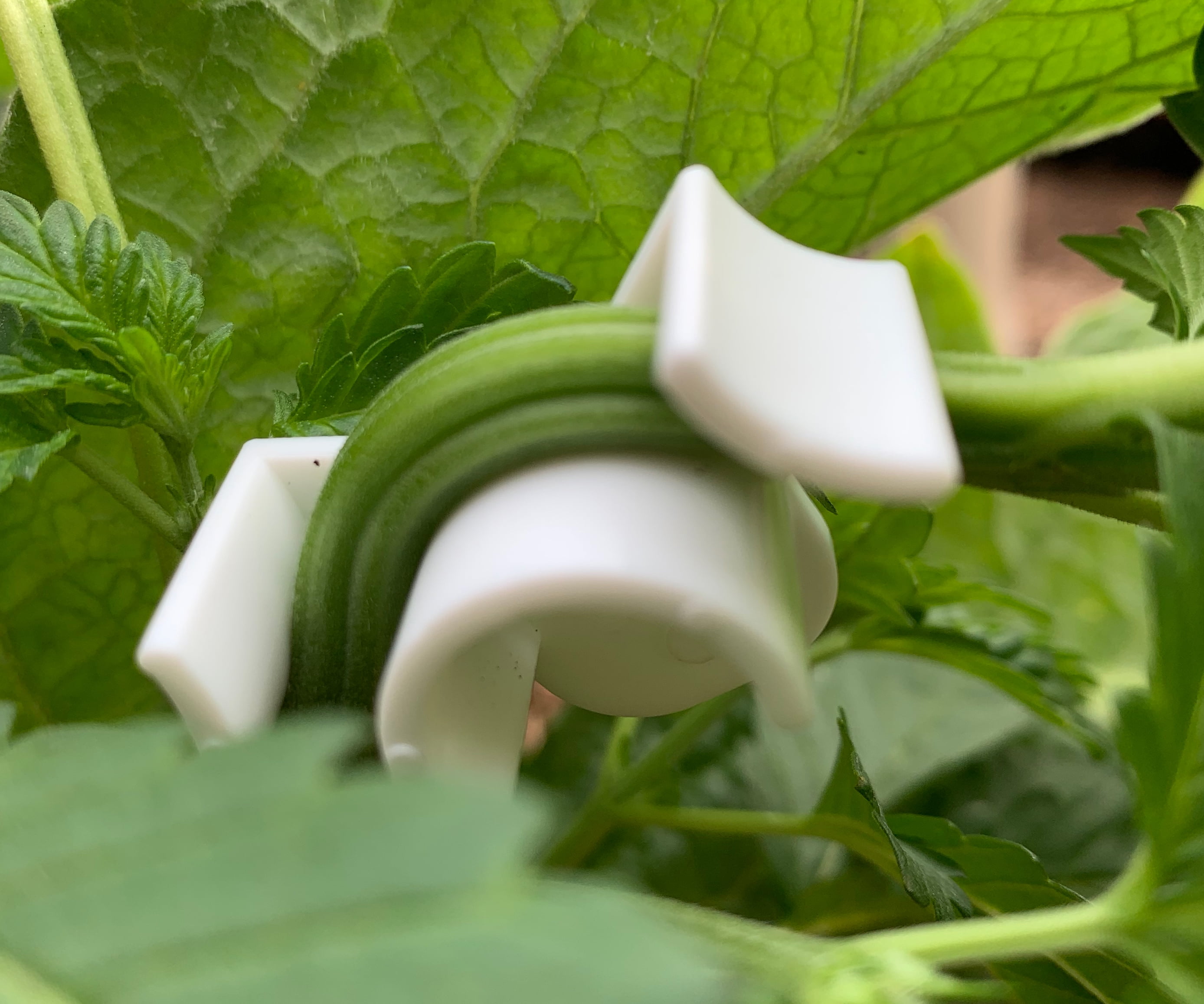 LSTclips - Plant Training - Walmart.com