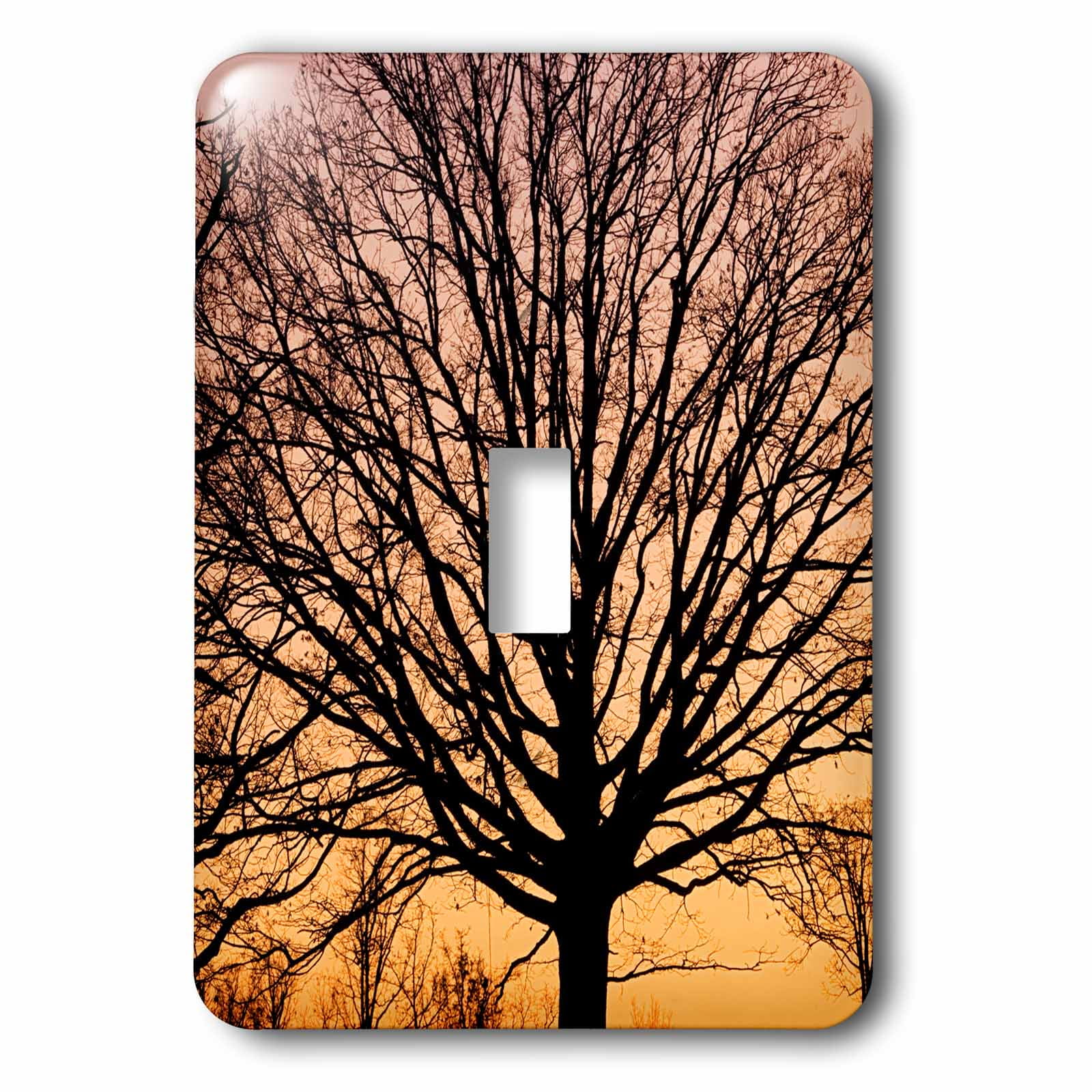 3dRose, USA, Missouri. Leafless tree backlit by sunset., single toggle ...