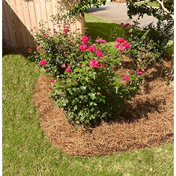 Pine Straw in Mulch - Walmart.com