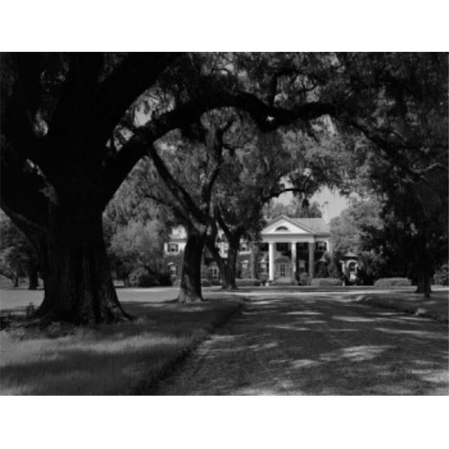 USA South Carolina Jacksonboro Bonnie Doone Old Mansion Home Poster ...