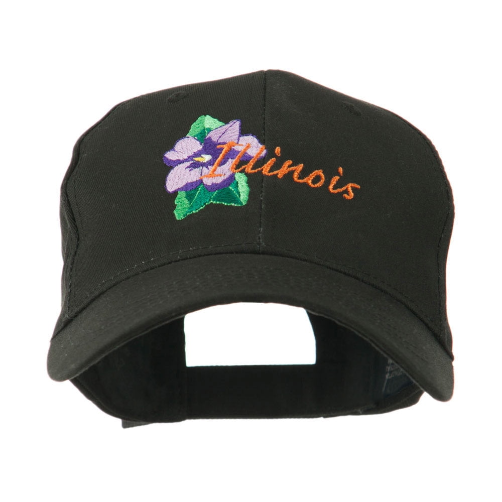 USA State Flower Illinois Violet Embroidered Cap - Black OSFM - Walmart.com