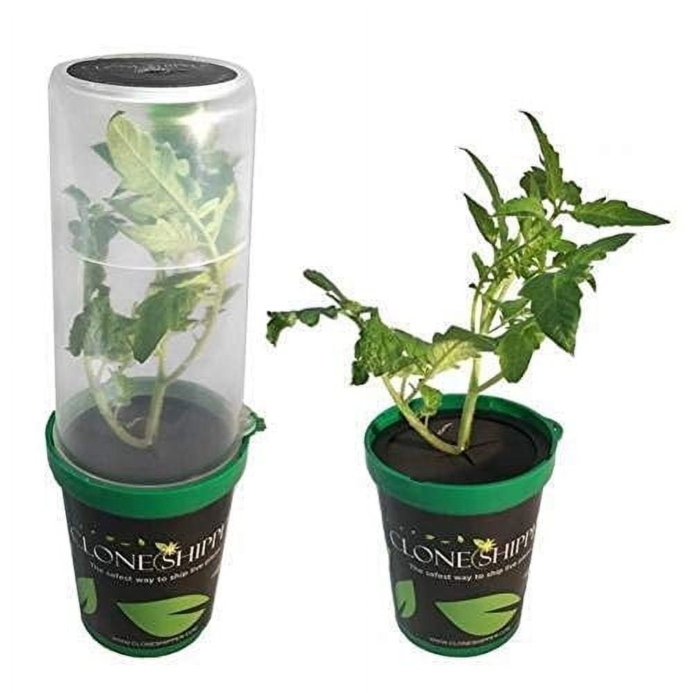 (USA Warehouse) LED-Clone-Shipper-Classic-Plant-Shipping-Container - 3 ...