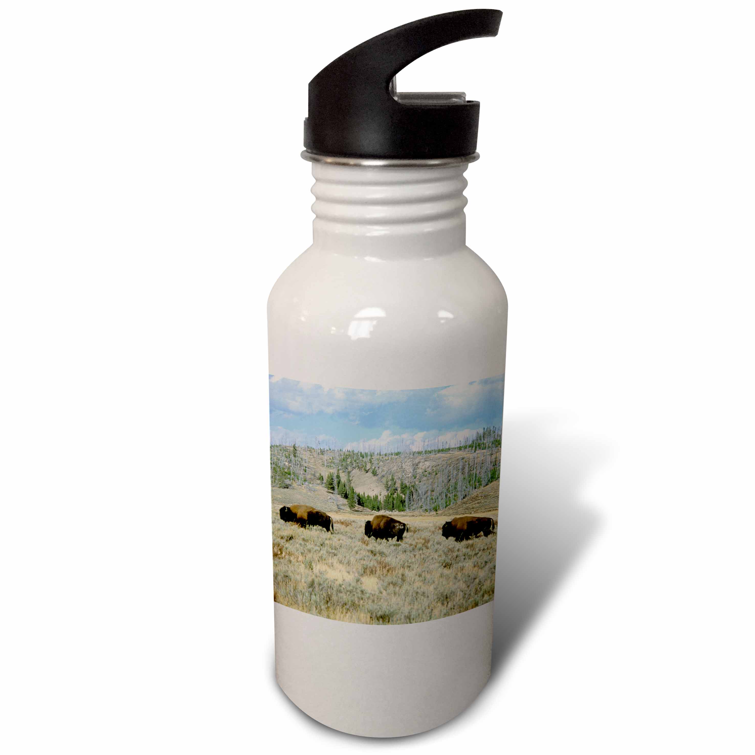 USA, Wyoming, Yellowstone NP, Bison - US51 TVE0011 - Tom Vezo 21 oz ...