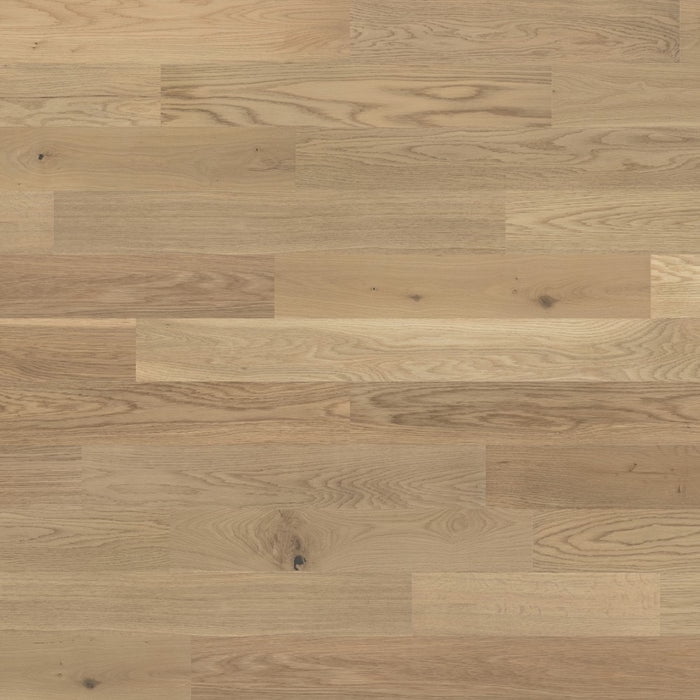 USABD Engineered Hardwood Flooring - Firenze European Oak - SAMPLE ...