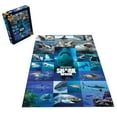 USAopoly Shark Week Jigsaw Puzzle, Shiver of Sharks, 1000-Piece, Ocean ...