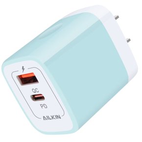 Charger Brick