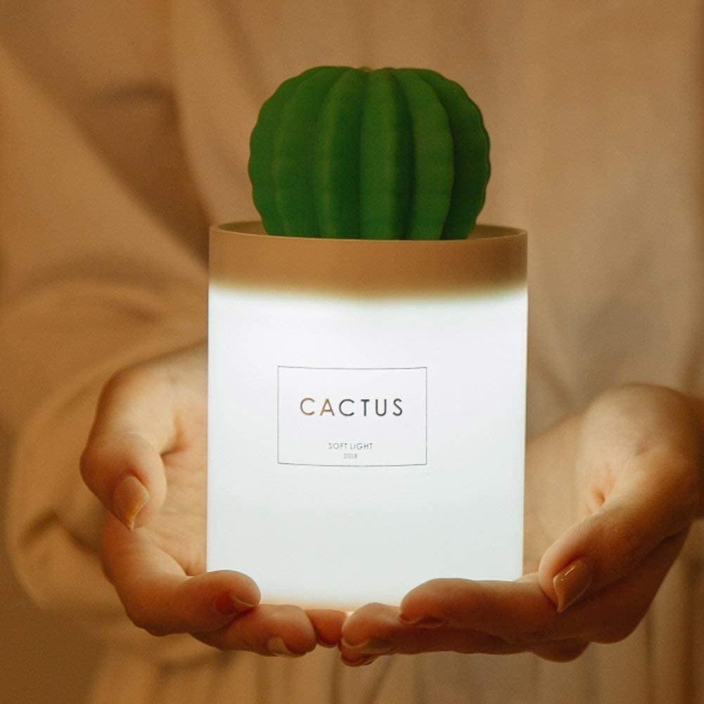 Mini Cactus Humidifier