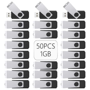 1gb Usb Stick
