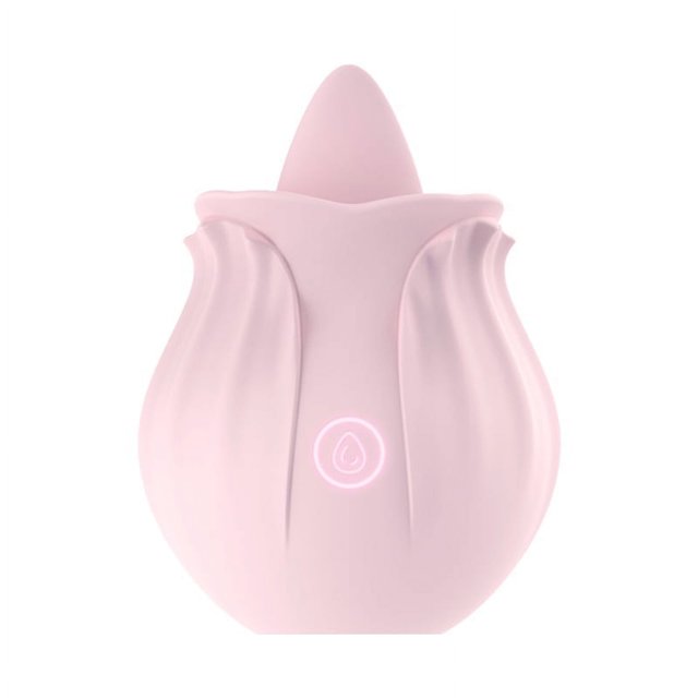 Usb Magnetic Rechargeable Rose Toy Clitoral Suction Vibrator 10 Modes