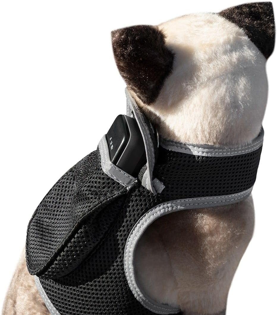 USB Rechargeable Dog Collar, Dog Collar with Buckle, Heavy Duty Dog ...