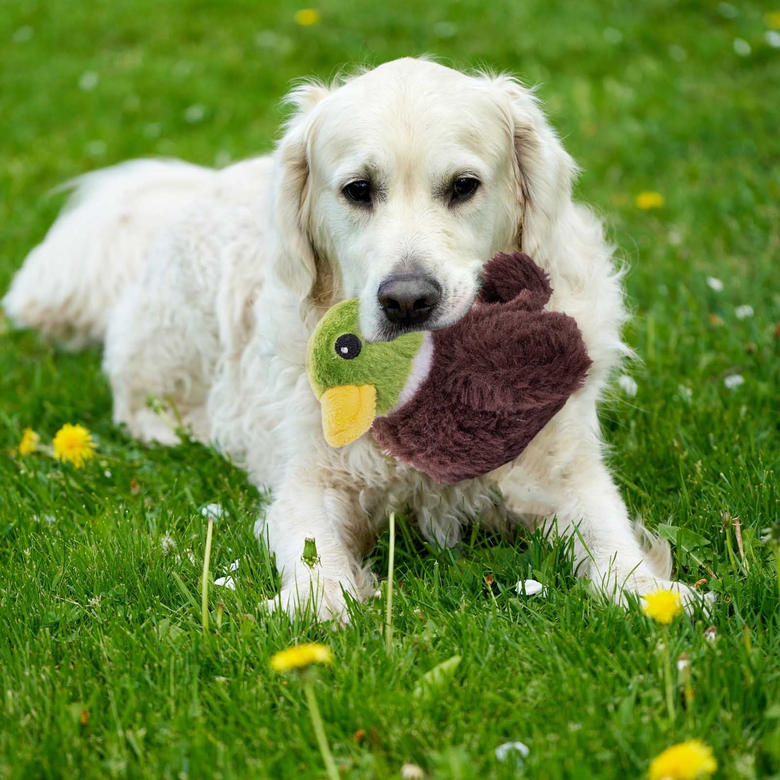 USB Rechargeable Interactive Cat Toy with Flapping Chirping Bird for ...
