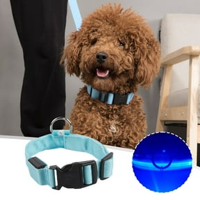 LED Dog Collar USB Rechargeable Glowing, Pet Collars Lighted Up Safety ...