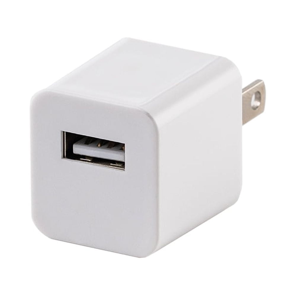 SpaRoom 2-Prong Power Adapter with fast charging, Plastic White ...