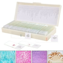 Spider Prepared Microscope Slide, Whole-Mount - Walmart.com