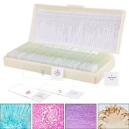 25pc Glass Microscope Slides Prepared in Wood Case: Plant, Insect ...