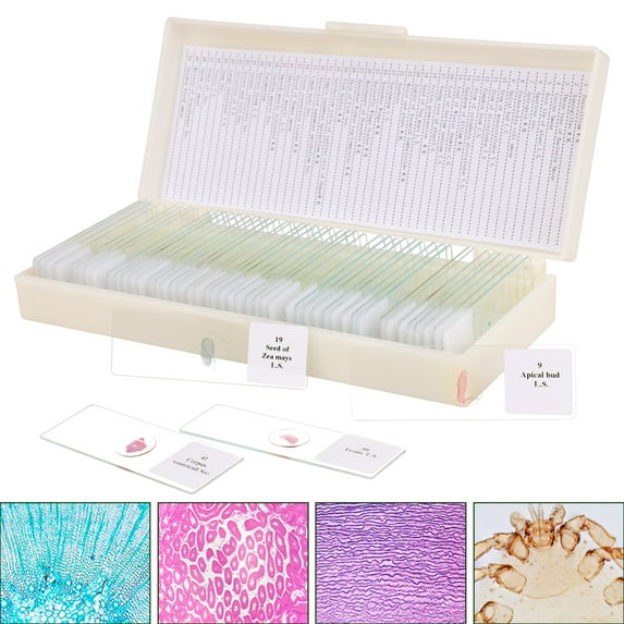 Uscamel 50PCS Prepared Microscope Slides Set, Glass Slides with ...
