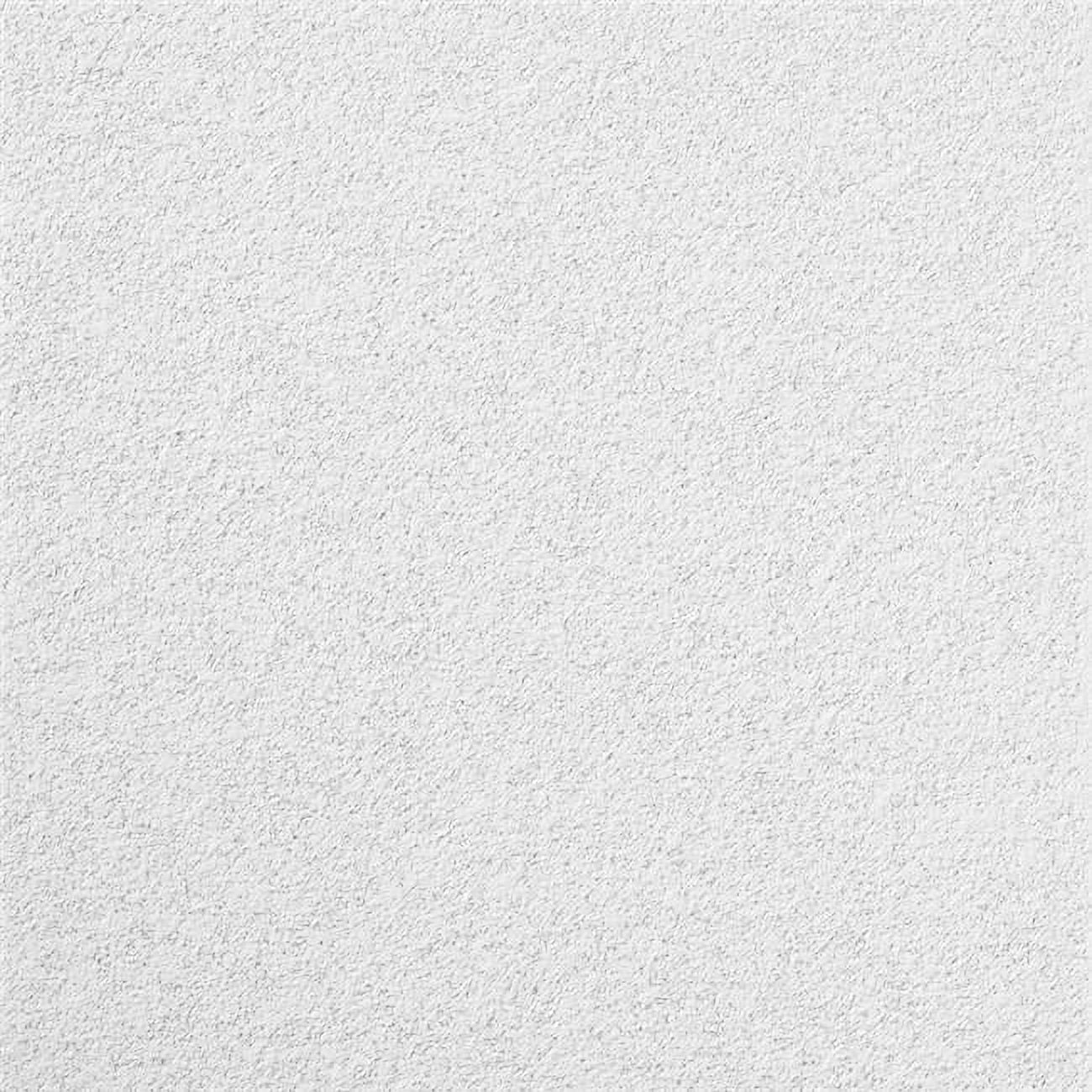 USG Ceilings Mars Non-Directional 0.75 in. L X 23.75 in. W 0.75 in ...