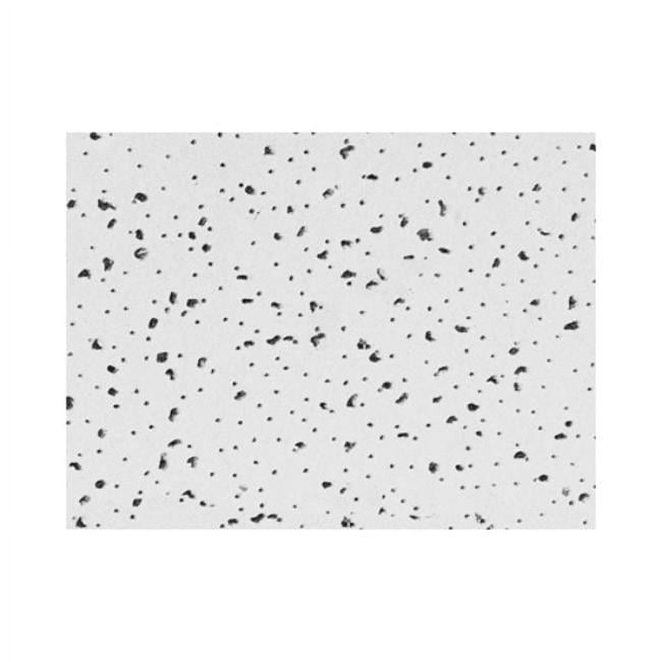 USG Corporation 116359 2 x 2 ft. Radar Ceiling Tile - Case Pack of 16 ...