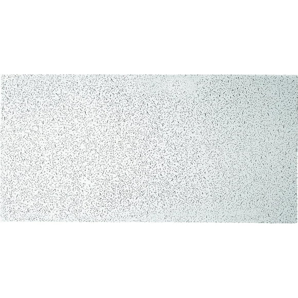 2x4 Ceiling Tiles