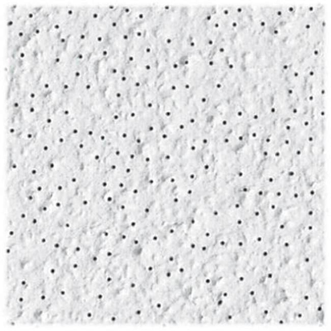 USG Interiors 210 A Tabaret Perforated Fiberglass Ceiling Tile - Pack ...