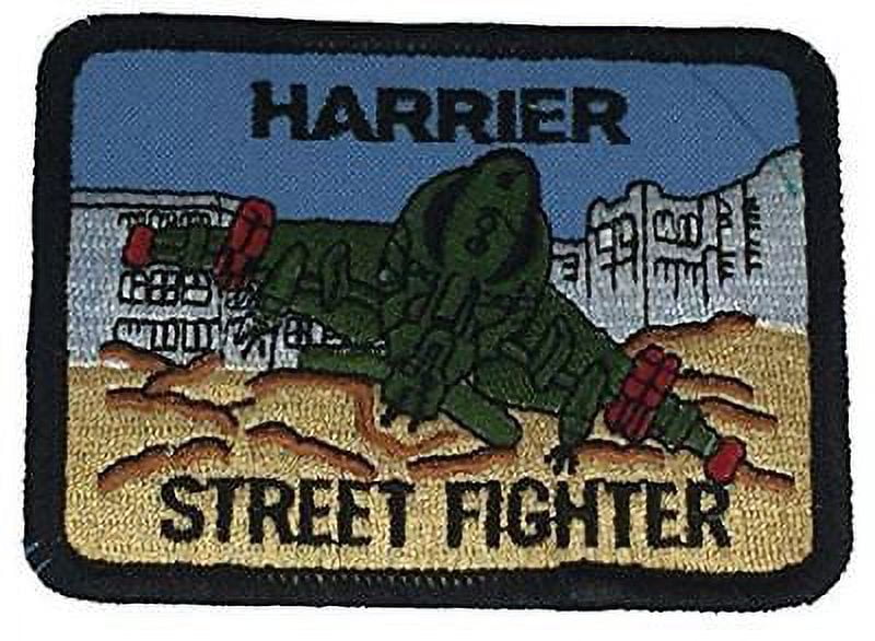 USMC MARINE CORPS AV 8 HARRIER STREET FIGHTER PATCH CAROLINA LAWN DART ...