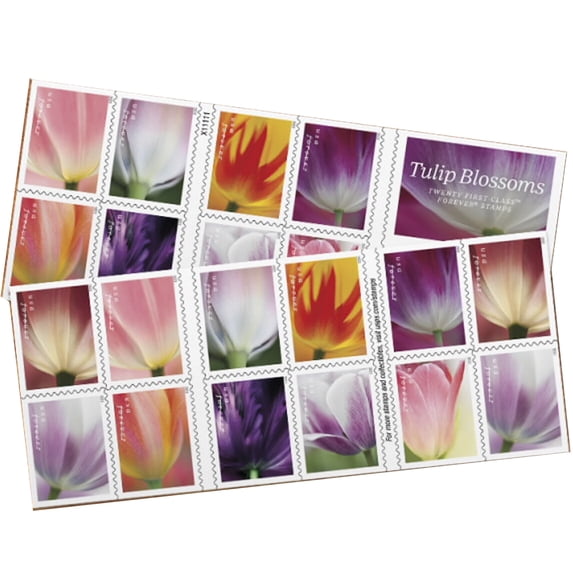 USPS 2023 Tulip Blossom Forever First Class Postage Stamps, 20 Count ...