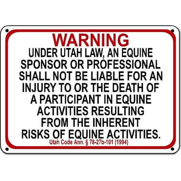 Big Dot of Happiness Kentucky Horse Derby - Hanging Porch Horse Race ...