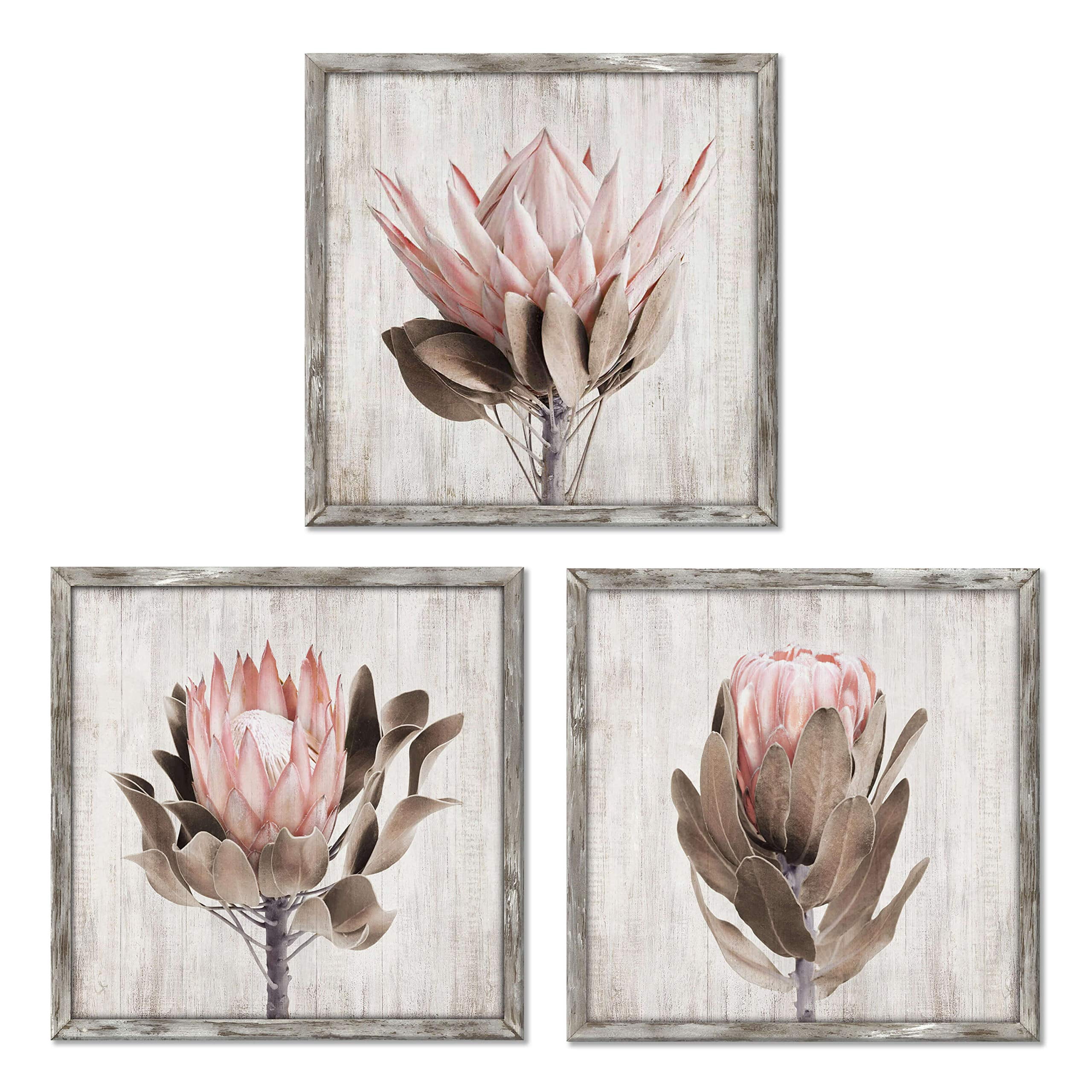 UTOP-art Pink Floral Picture Wall Art: Protea Flowers Artwork Print on ...