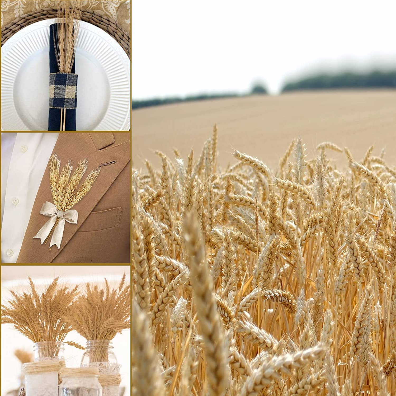UUGHWW-17.7 Inches Dried Wheat Stalks, 200 Stems Dried Flowers 100% ...