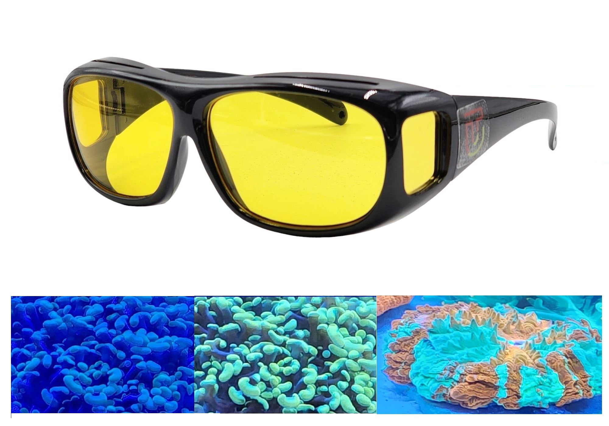 UV Coral Reef Viewing Glasses for Saltwater Aquarium, Reef Tank | UV ...