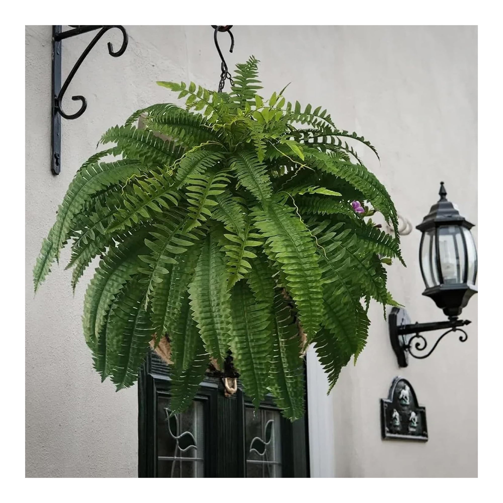 UV Resistant Boston Ferns for Outdoor 43.31inch Artificial Natural ...