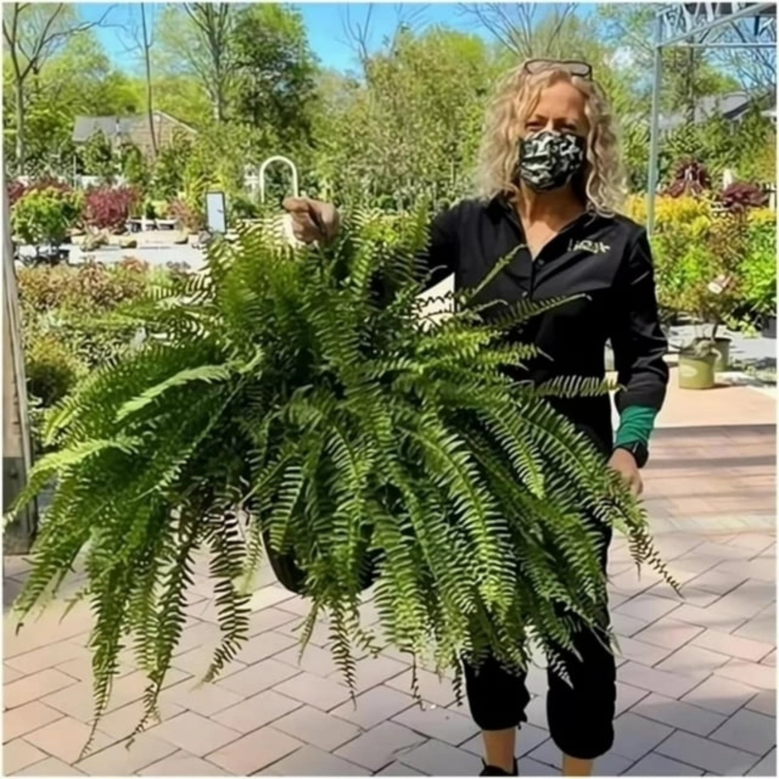UV Resistant Lifelike Artificial Boston Fern - 2025 New Faux Boston ...