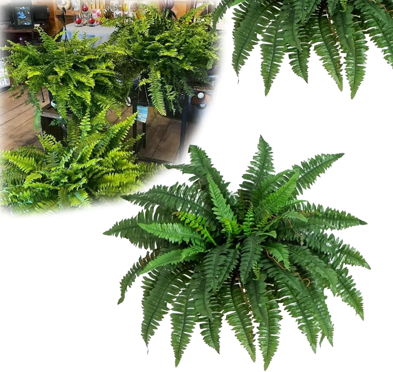 UV Resistant Lifelike Artificial Boston Fern, 28/38/60/88 Artificial ...