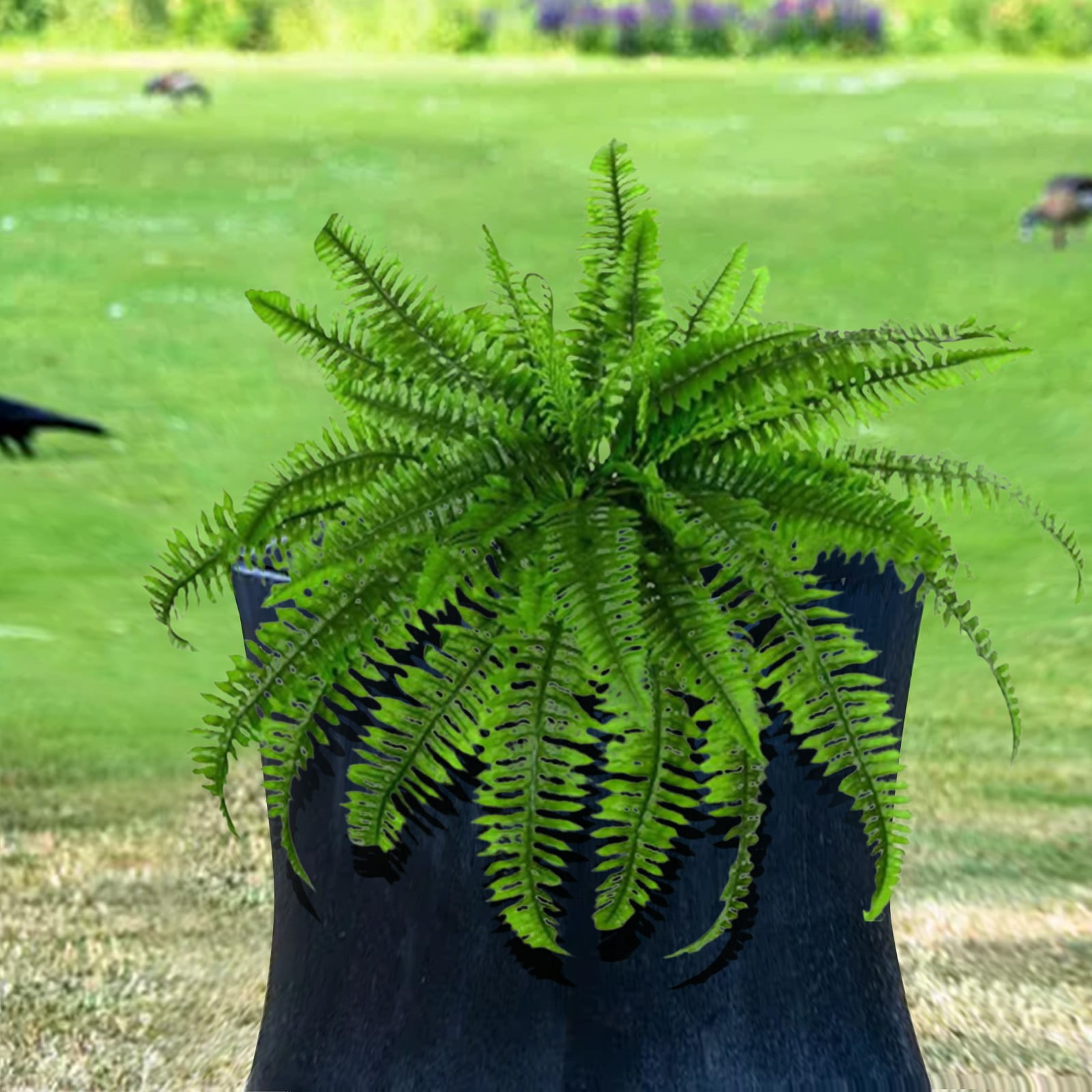 UV Resistant Lifelike Artificial Boston Fern, 28/38/60/88 Artificial ...