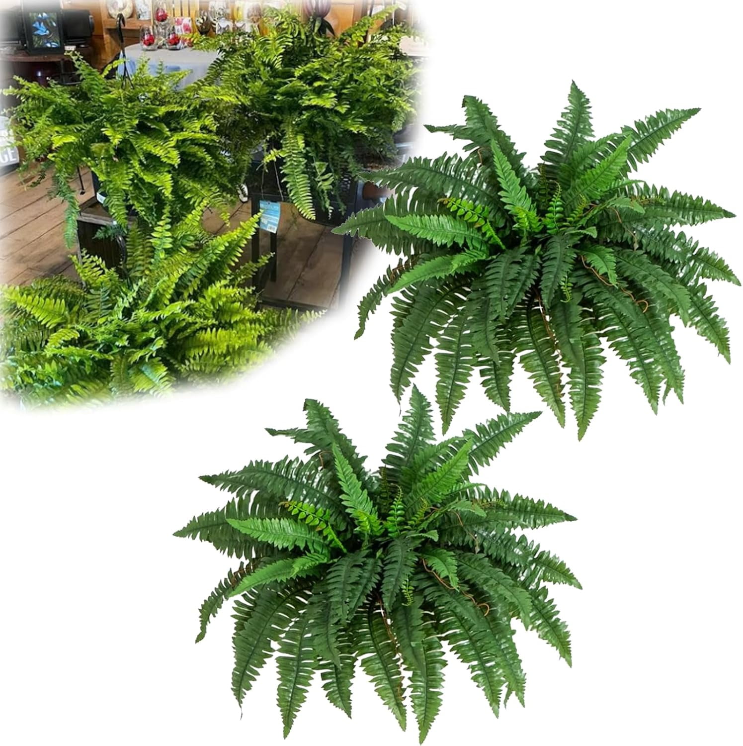 UV Resistant Lifelike Artificial Boston Fern, 28/38/60/88 Artificial ...