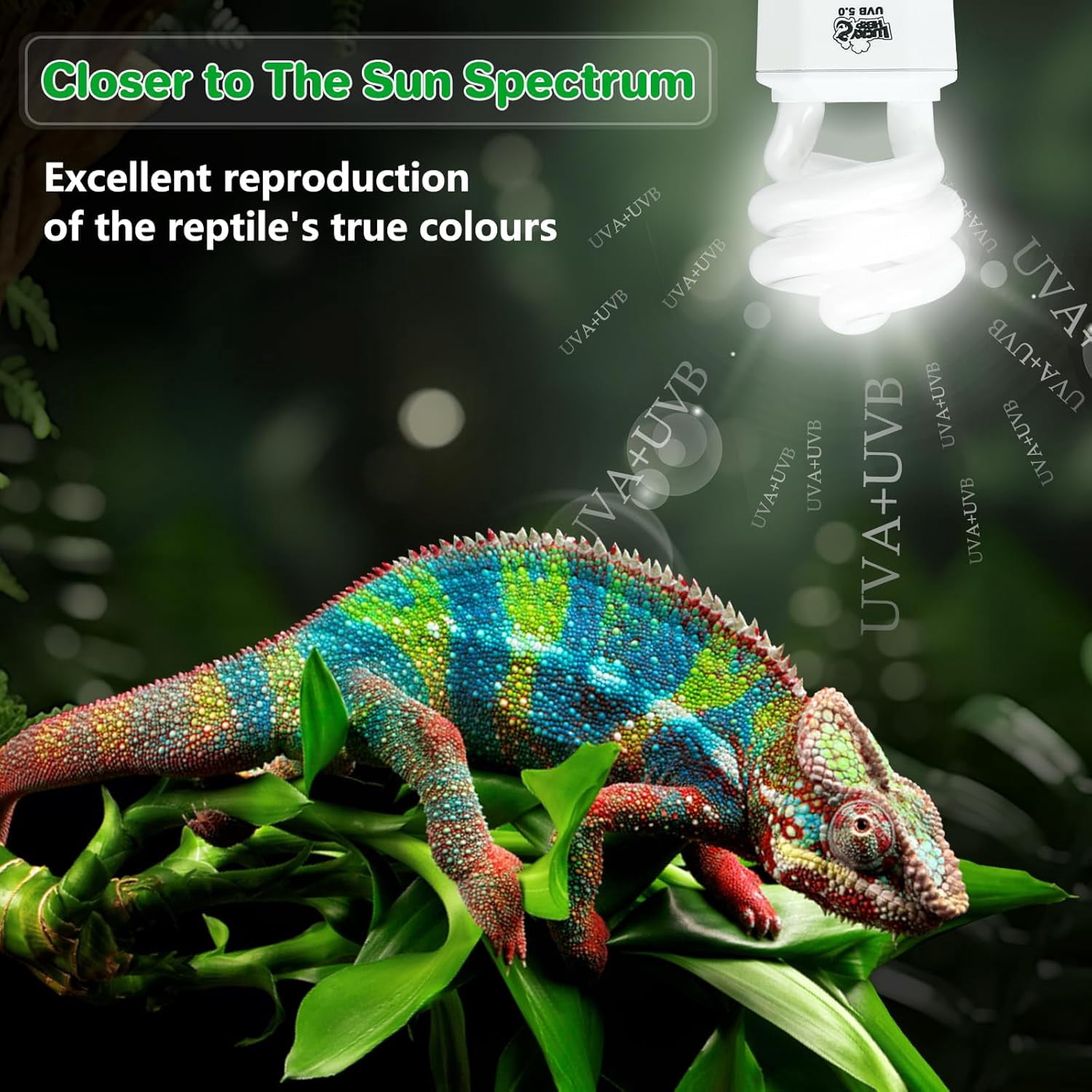 UVA UVB Reptile Light 5.0, Tropical UVB 100 Compact Fluorescent Lamp ...