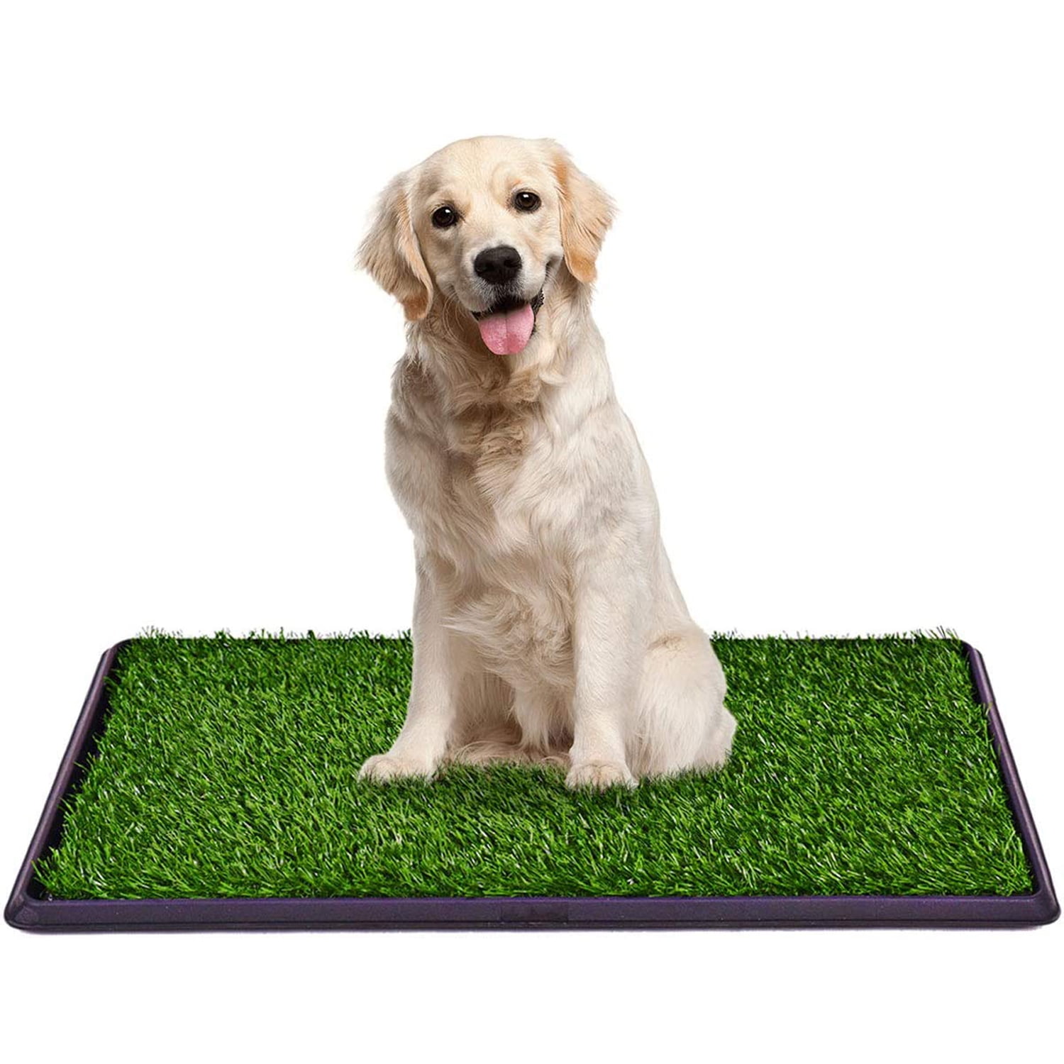 UWR-Nite Doggie Potty Training Pad, 25x20inch, Artificial Grass, Indoor ...