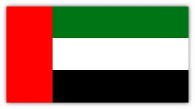Uae Flag Patriotic Sticker Decal Laptop Wall Phone Decal Water Bottle ...