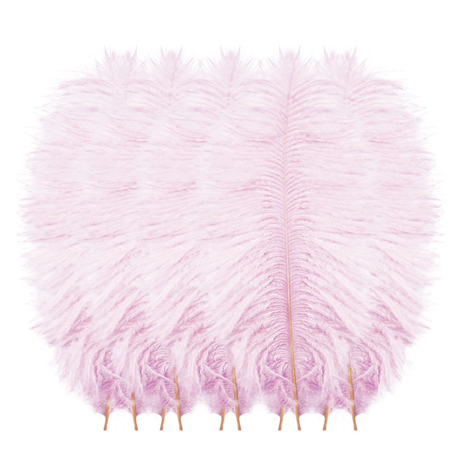 Uanit 10 Colorful Ostrich Feather Large Wedding Background Wall ...