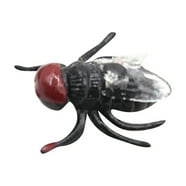 40pcs Scary Rubber Prank Fake Roaches, Realistic Plastic Bugs, Trick ...