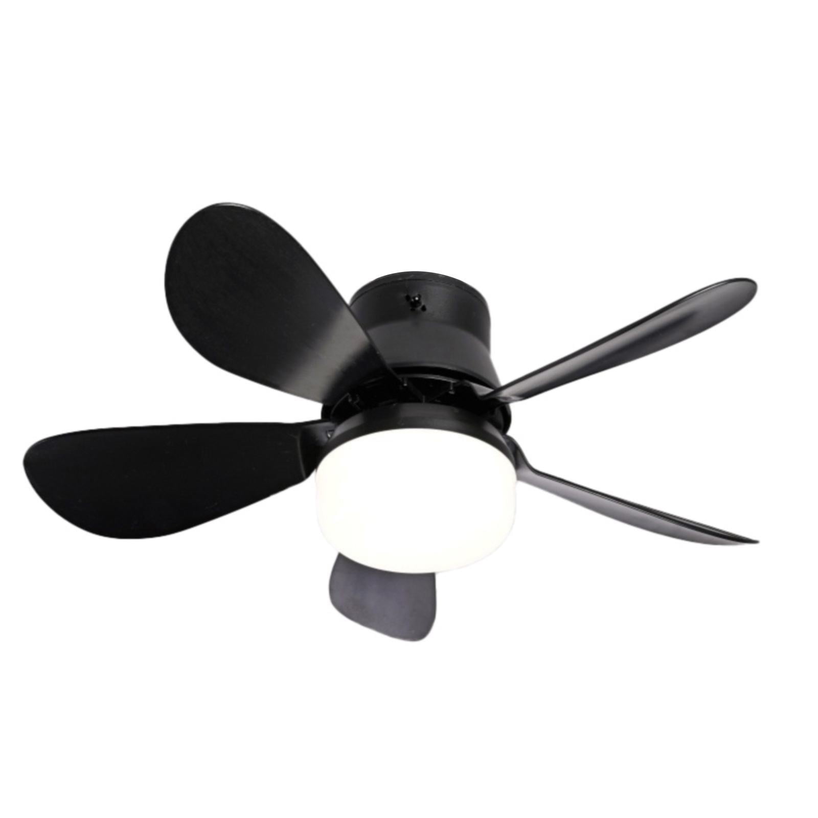 Uanit Ceiling Fan with Light and Remote, Small Ceiling Fans with Lights ...