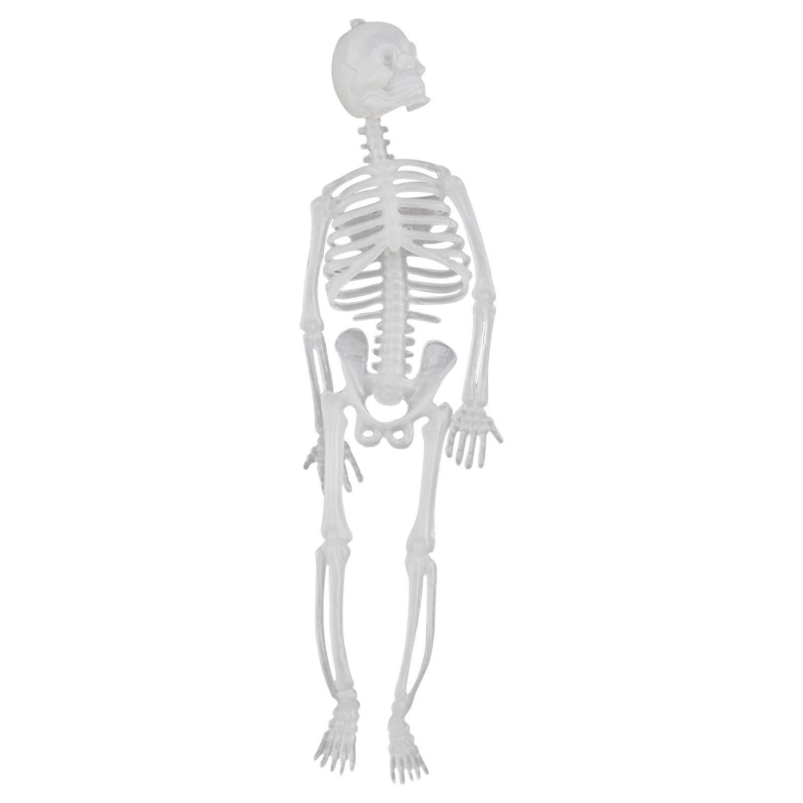 Uanit Halloween glow in the dark scary skull frame Body Luminous House ...