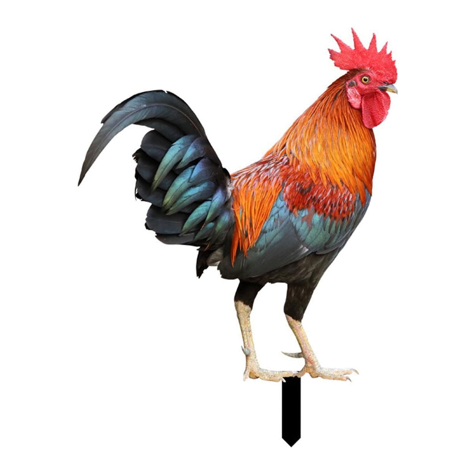 Uanit garden decoration inserts Rooster Acrylic Outdoor Garden Ground ...