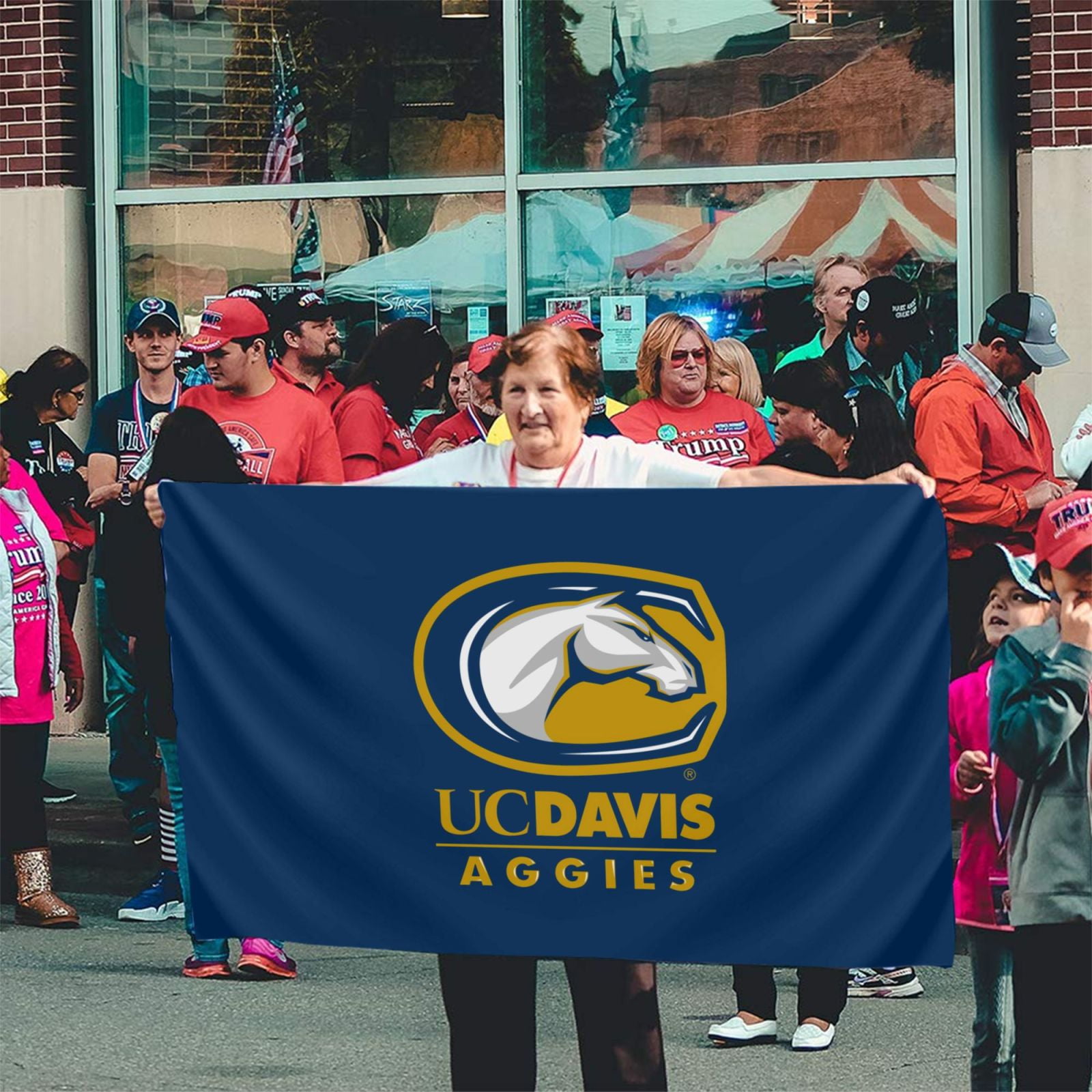 Uc Davis Aggies University Logo Banner Breeze Flag Outdoor Flags Home ...