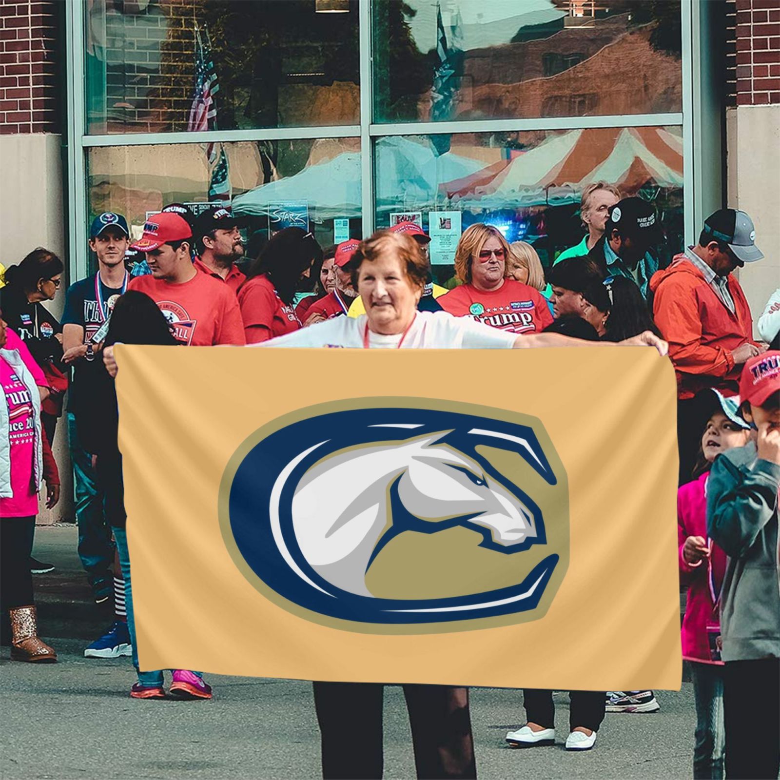 Uc Davis Aggies University Logo Flag 3x5 Outdoor ,Sewn Stripes ...