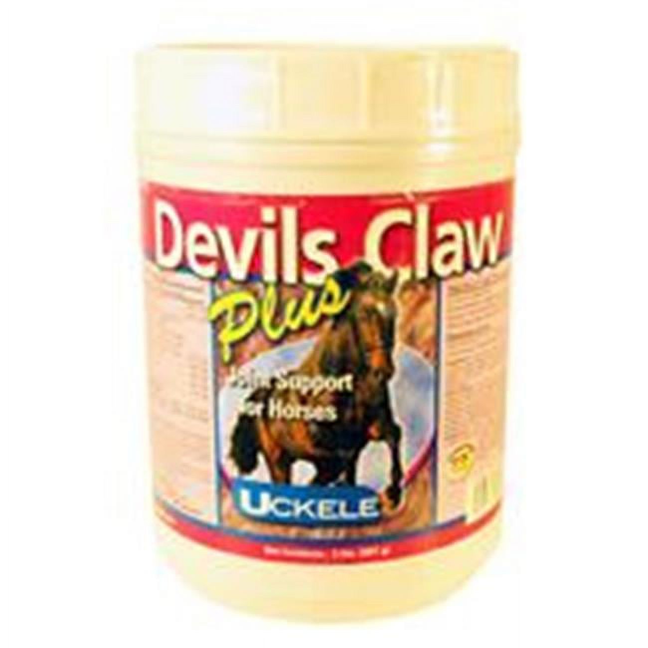 Uckele 50.000072 Joint Support Devils Claw Plus Supplement for Horses ...