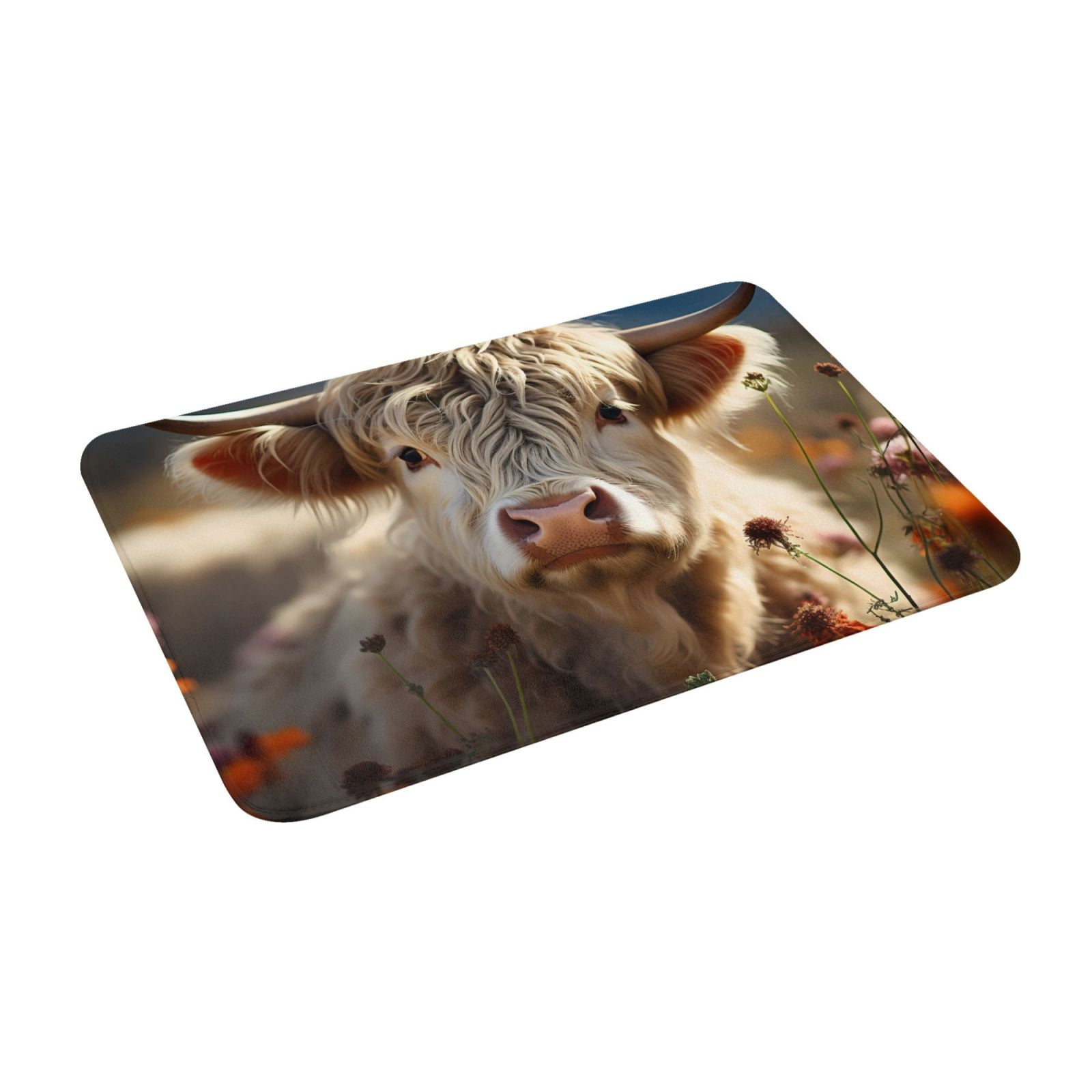 Uemuo Adorable Flower Field Cow Printed Door Mat Indoor Doormat 16"x24 ...