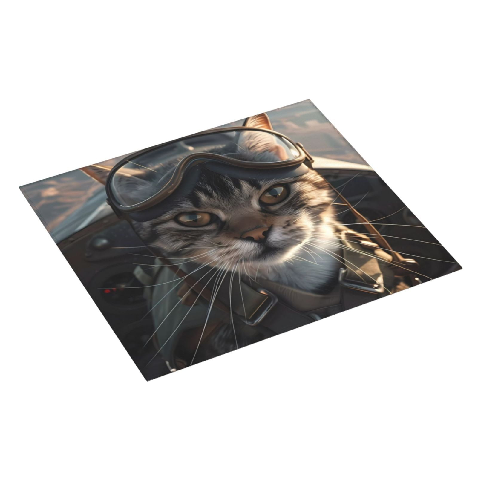 Uemuo Pilot Cat In Vintage Plane Pattern Dish Drying Mat,16*18 inch ...